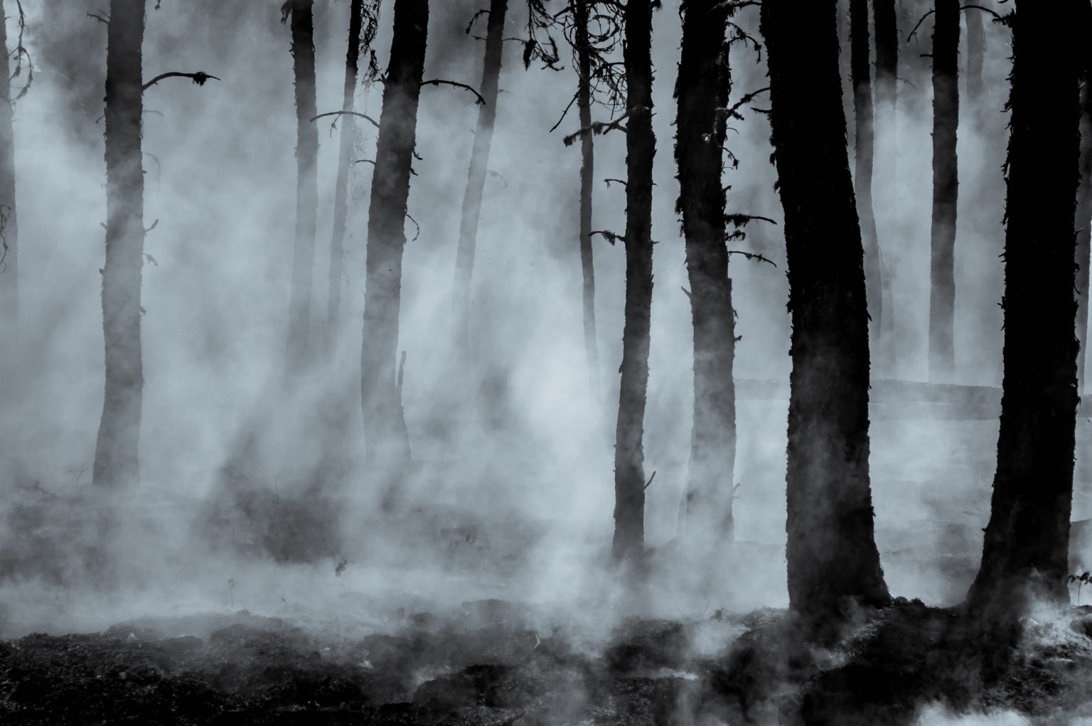 On Climate Migration, Part 1: The Problem - DPZ